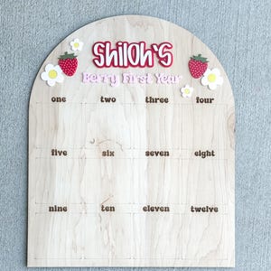 First Year Photo Board | Berry First Birthday | Monthly Milestones ...