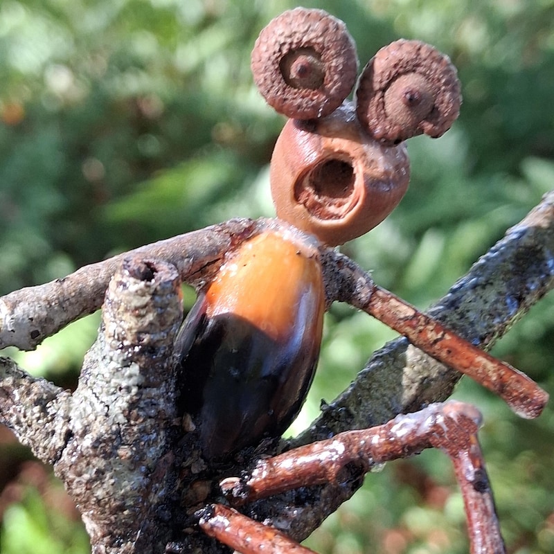 ArtsyPhartsyGarden - Etsy