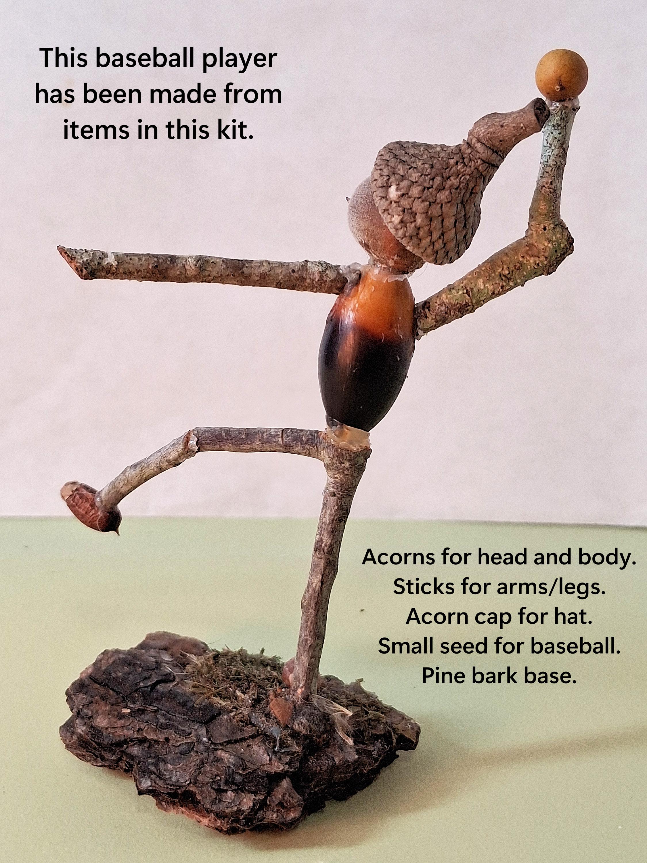 DIY Kit for Making Acorn People, Forest Folk, and Critters, ALL NATURAL ...
