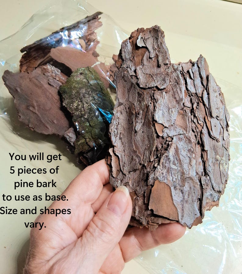 DIY Kit for Making Acorn People, Forest Folk, and Critters, ALL NATURAL ...