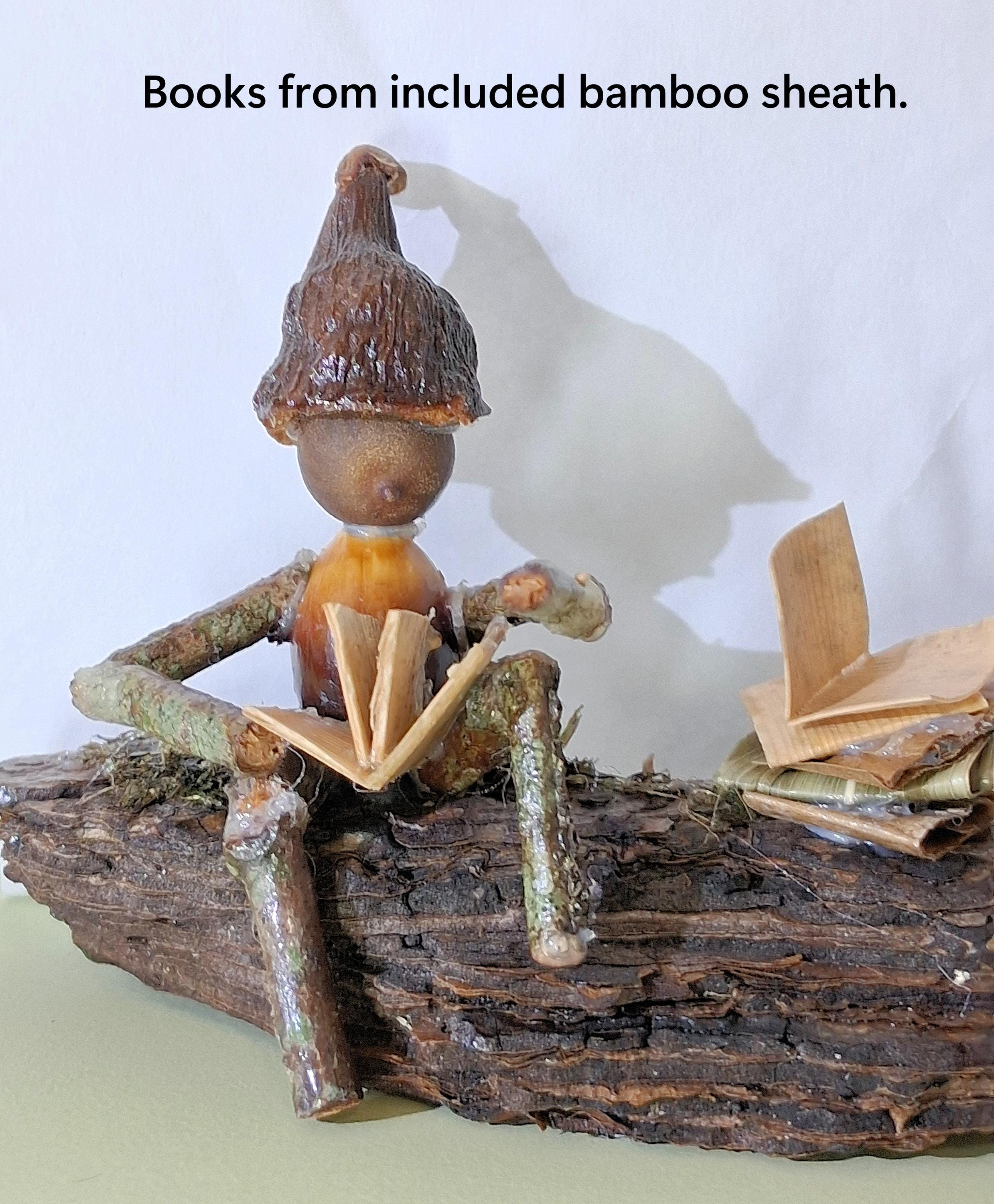 DIY Kit for Making Acorn People, Forest Folk, and Critters, ALL NATURAL ...