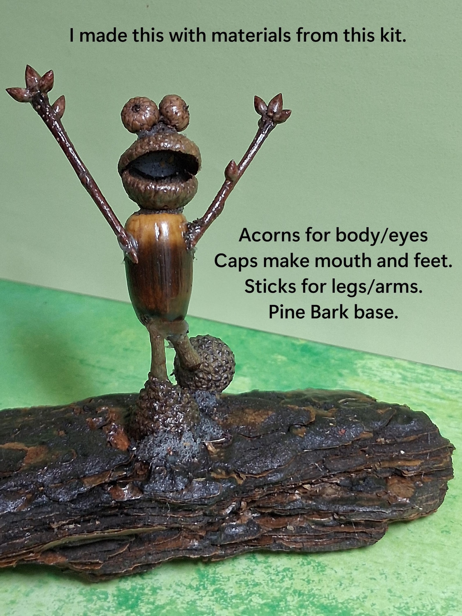 DIY Kit for Making Acorn People, Forest Folk, and Critters, ALL NATURAL ...