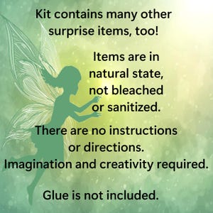 DIY Kit for Making Acorn People, Forest Folk, and Critters, ALL NATURAL ...