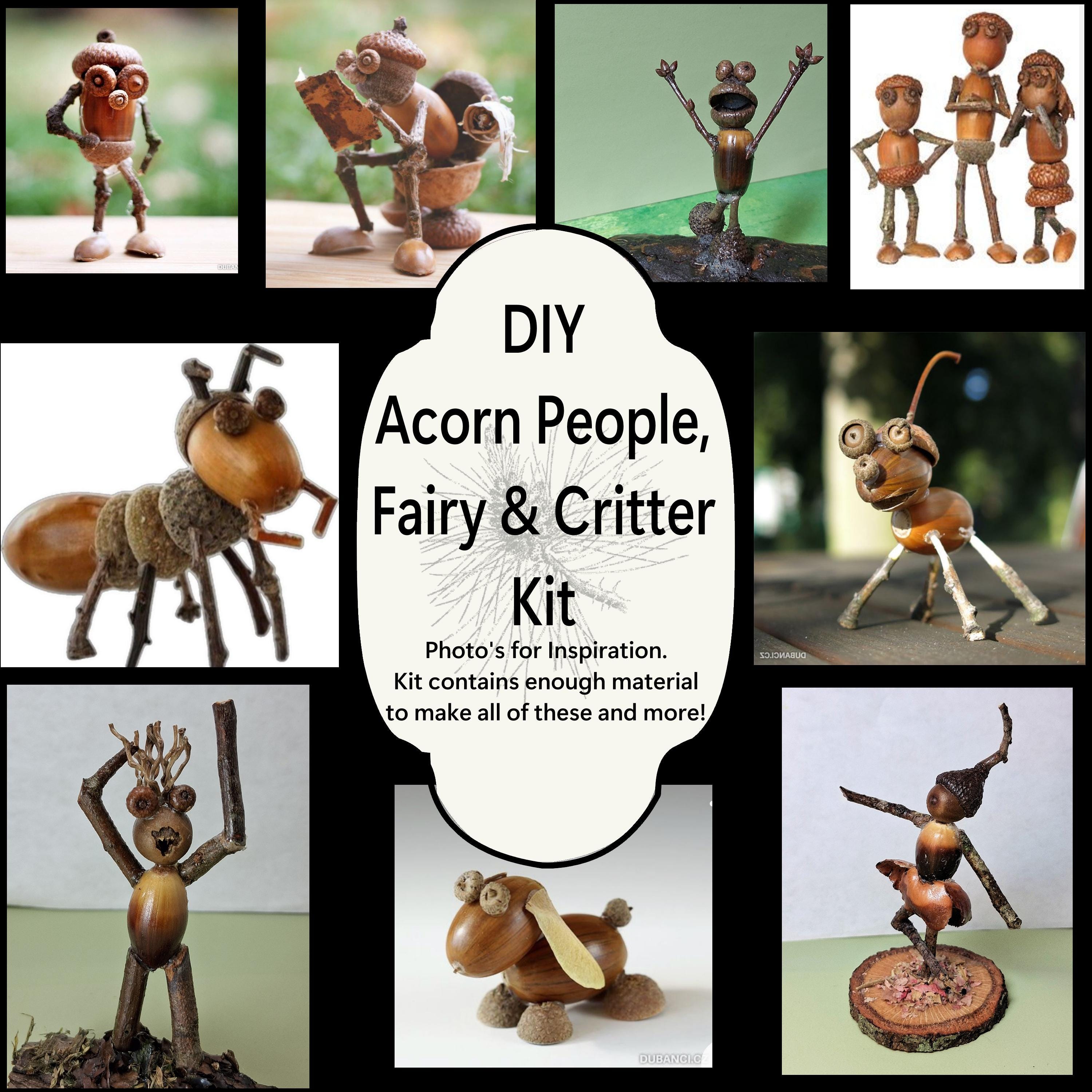 DIY Kit for Making Acorn People, Forest Folk, and Critters, ALL NATURAL ...