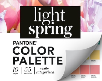 LIGHT SPRING Color Swatch Fan - Etsy