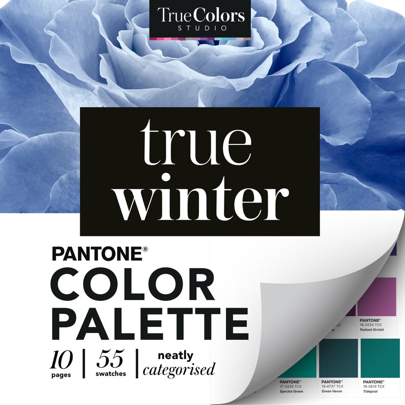 True Winter Color Palette Cool Winter Colour Swatch Wardrobe Color ...