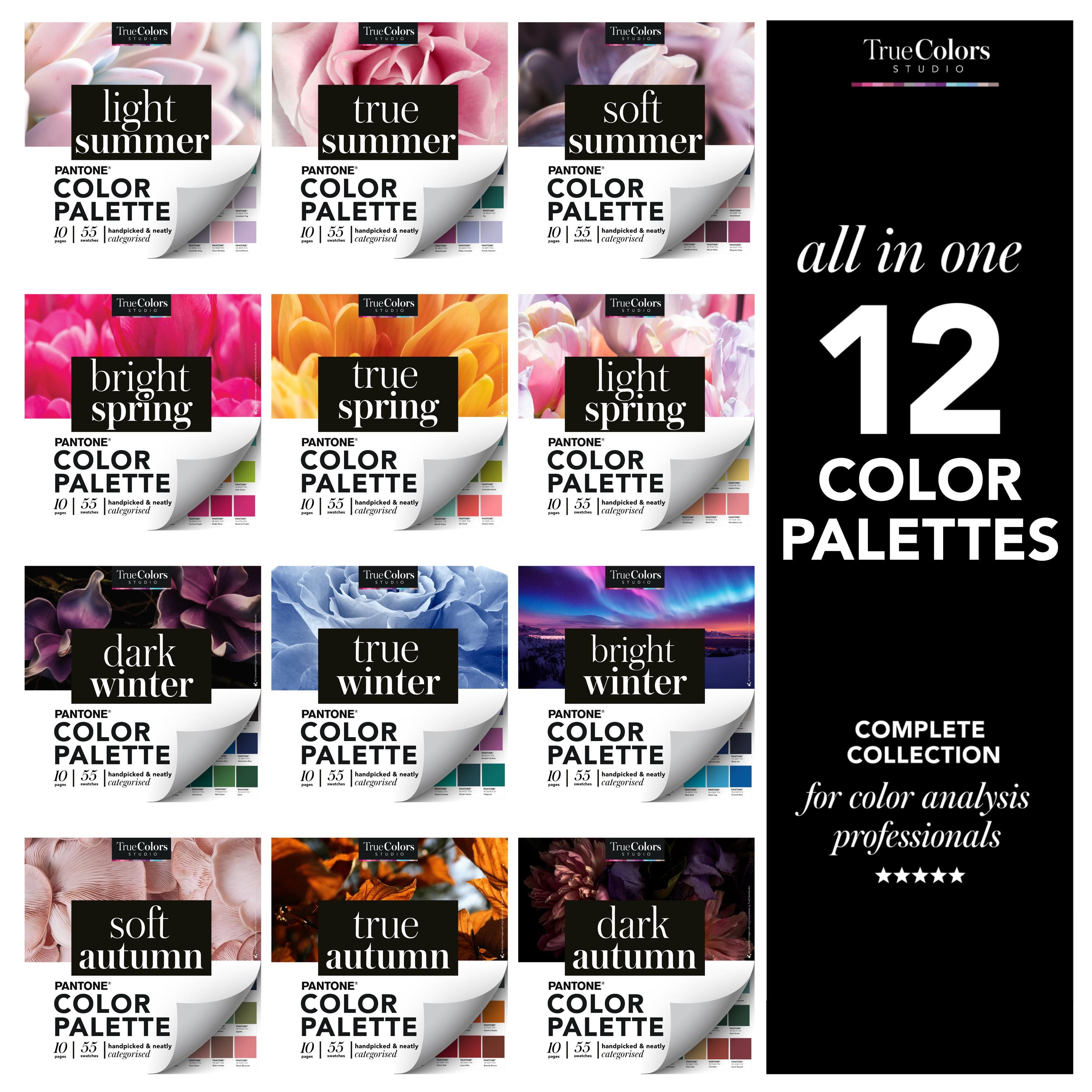 12 Seasons Color Analysis Complete Color Palettes for Professionals - Etsy