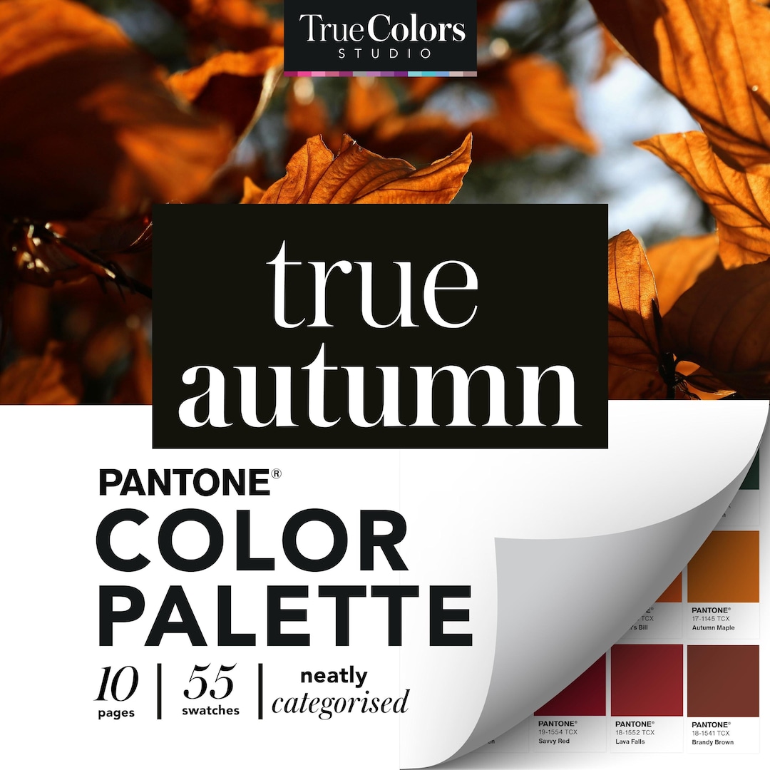 True Autumn Color Palette, Pantone Swatches (digital Download) - Etsy