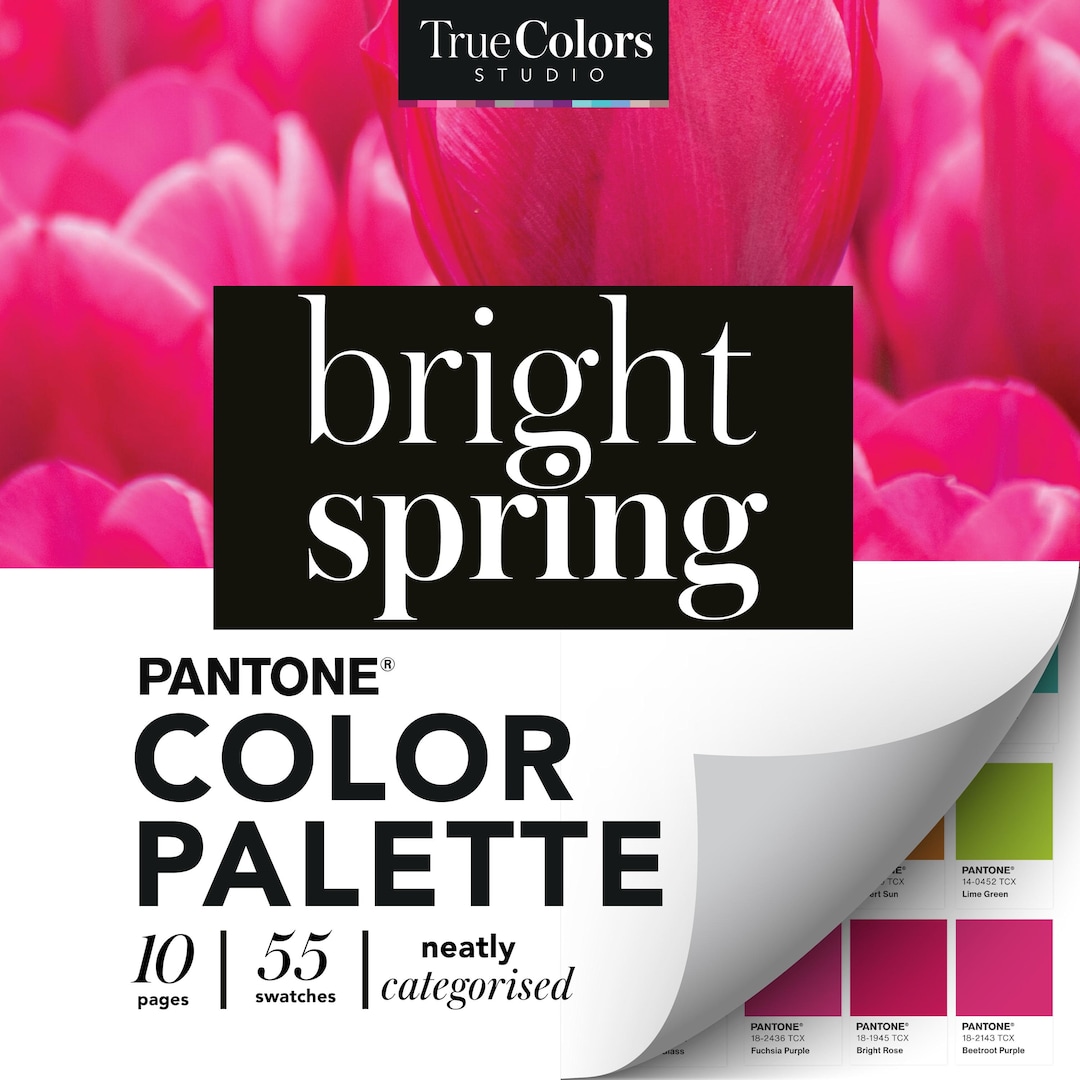 Bright Spring Color Palette Bright Spring Colour Swatch Wardrobe Color ...