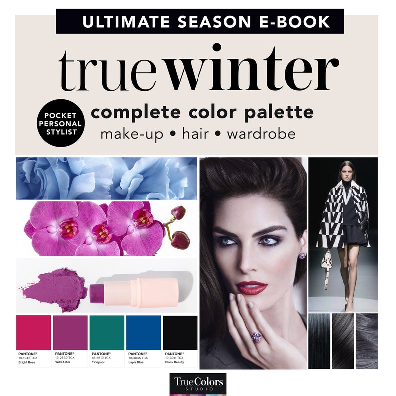 True Winter Season Color Analysis Cool Winter Makeup Palette Hair Color ...