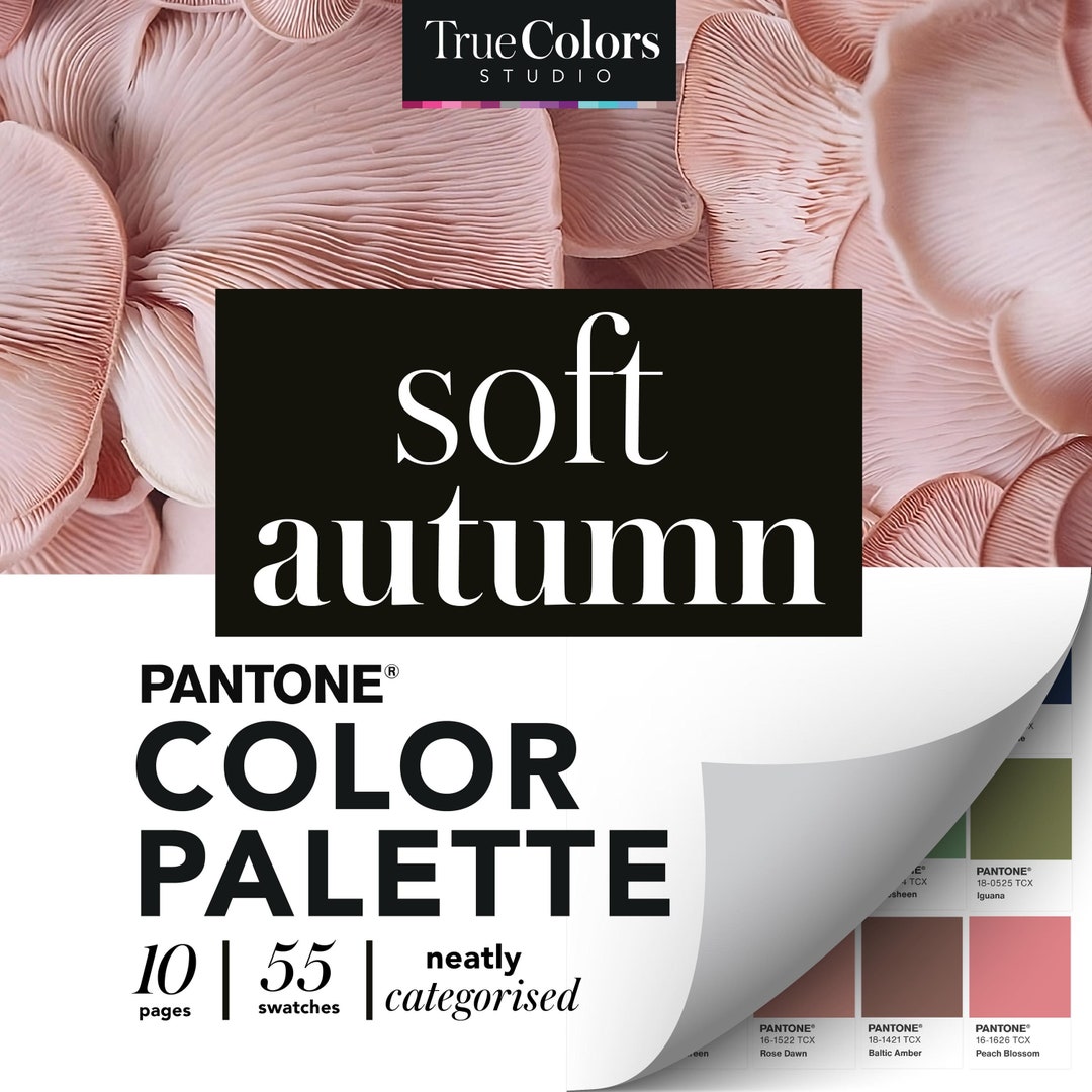 Soft Autumn Color Palette Soft Autumn Colour Swatch Wardrobe Color ...