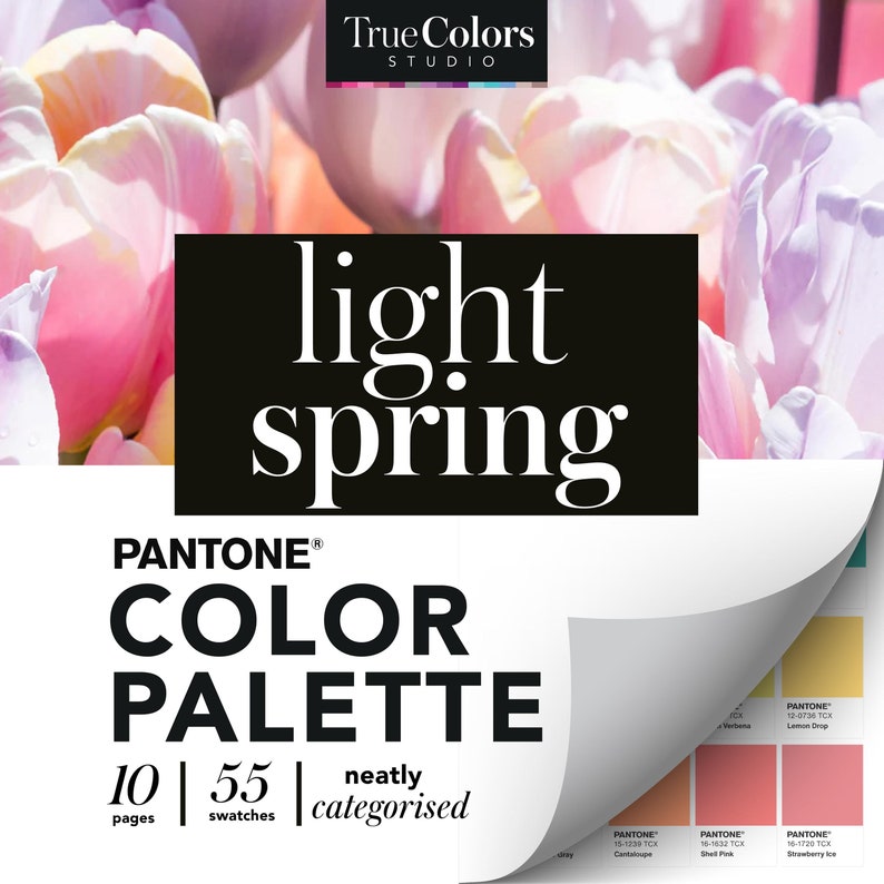 Light Spring Color Palette, Pantone Swatches (digital Download) - Etsy