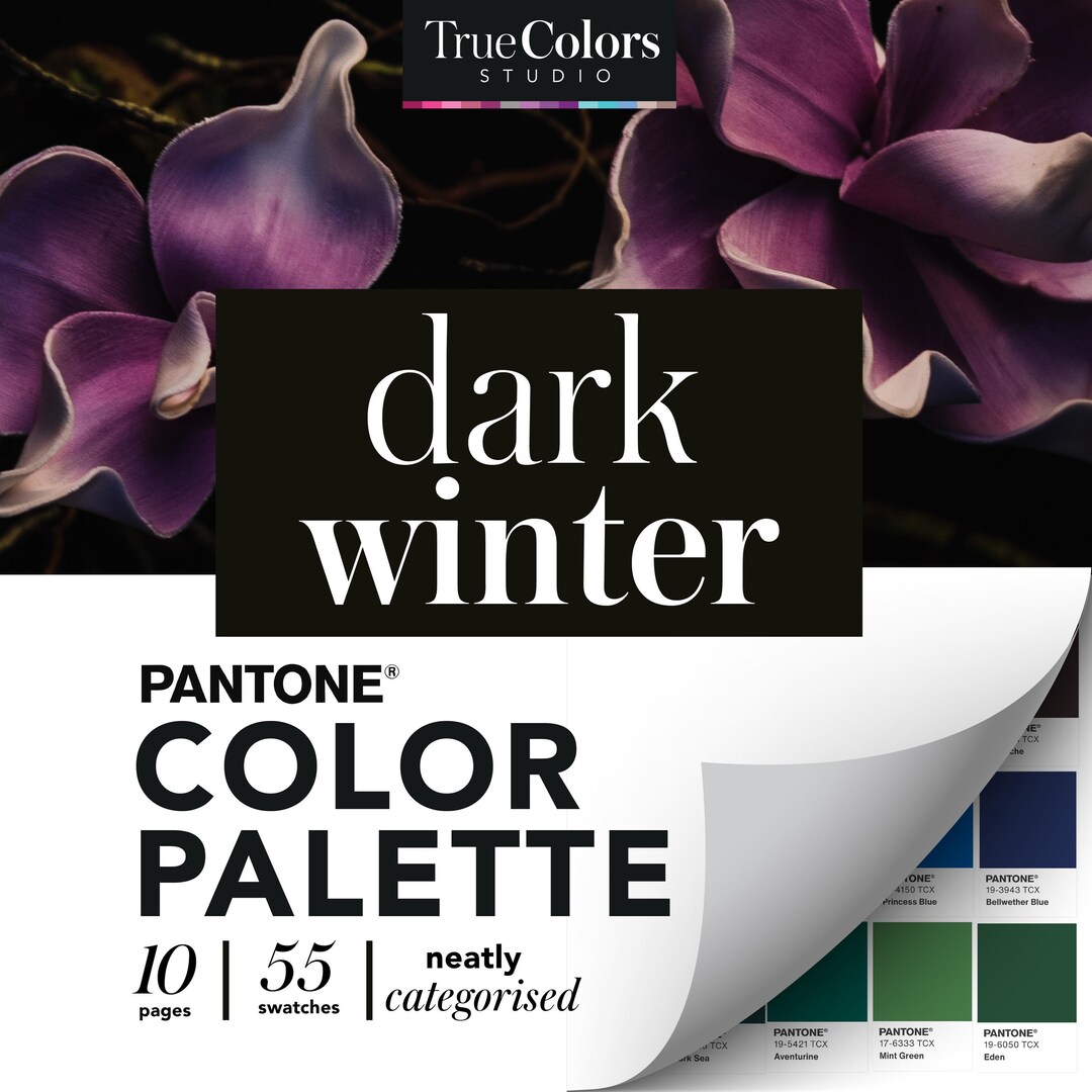 Dark Winter Color Palette Deep Winter Colour Swatch Wardrobe Color ...