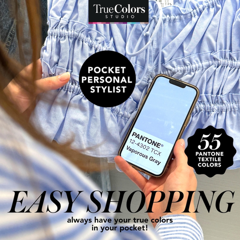 True Winter Color Palette Cool Winter Colour Swatch Wardrobe Color ...