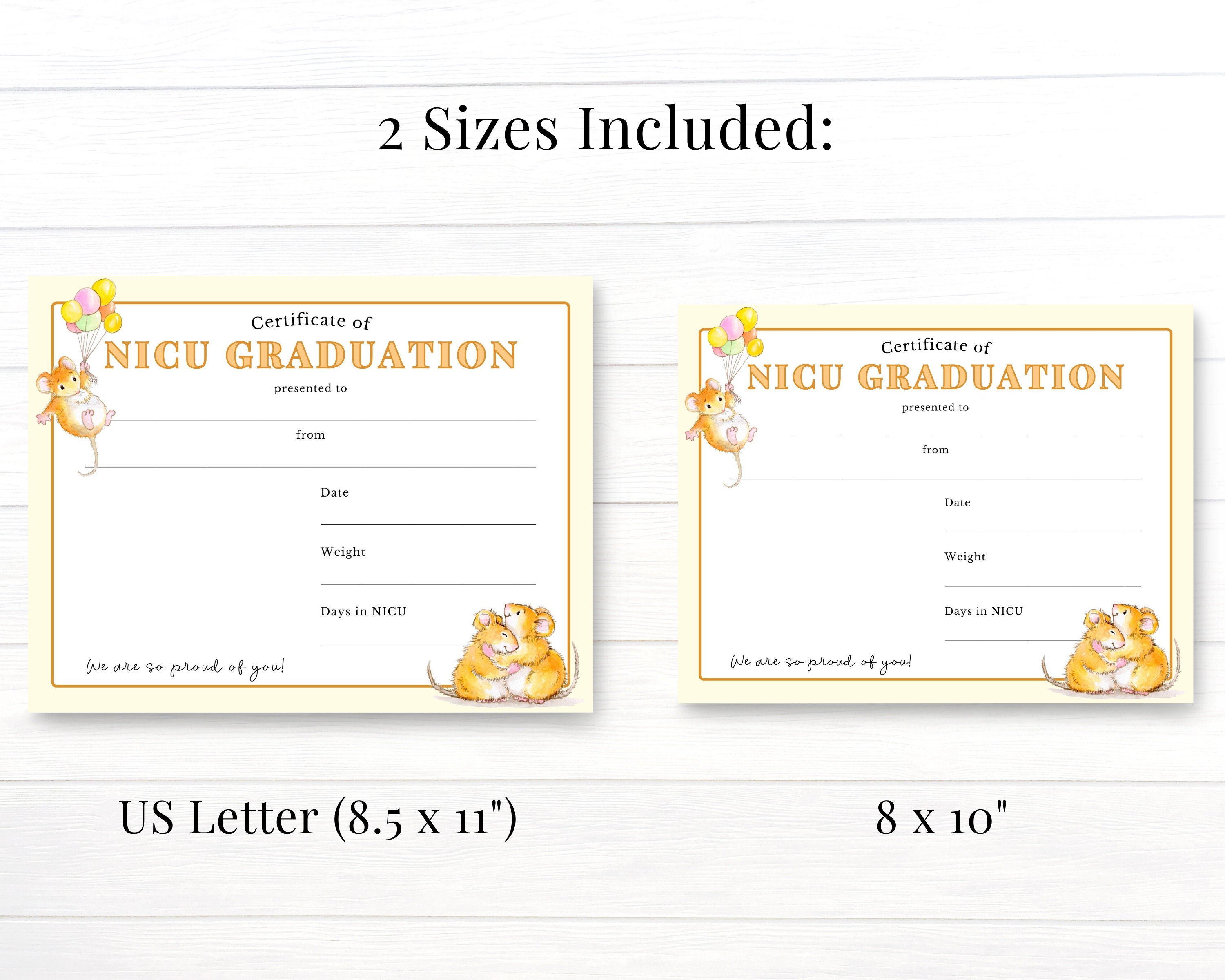 NICU Baby Graduation Certificate, Printable Keepsake Sign, Gift for ...