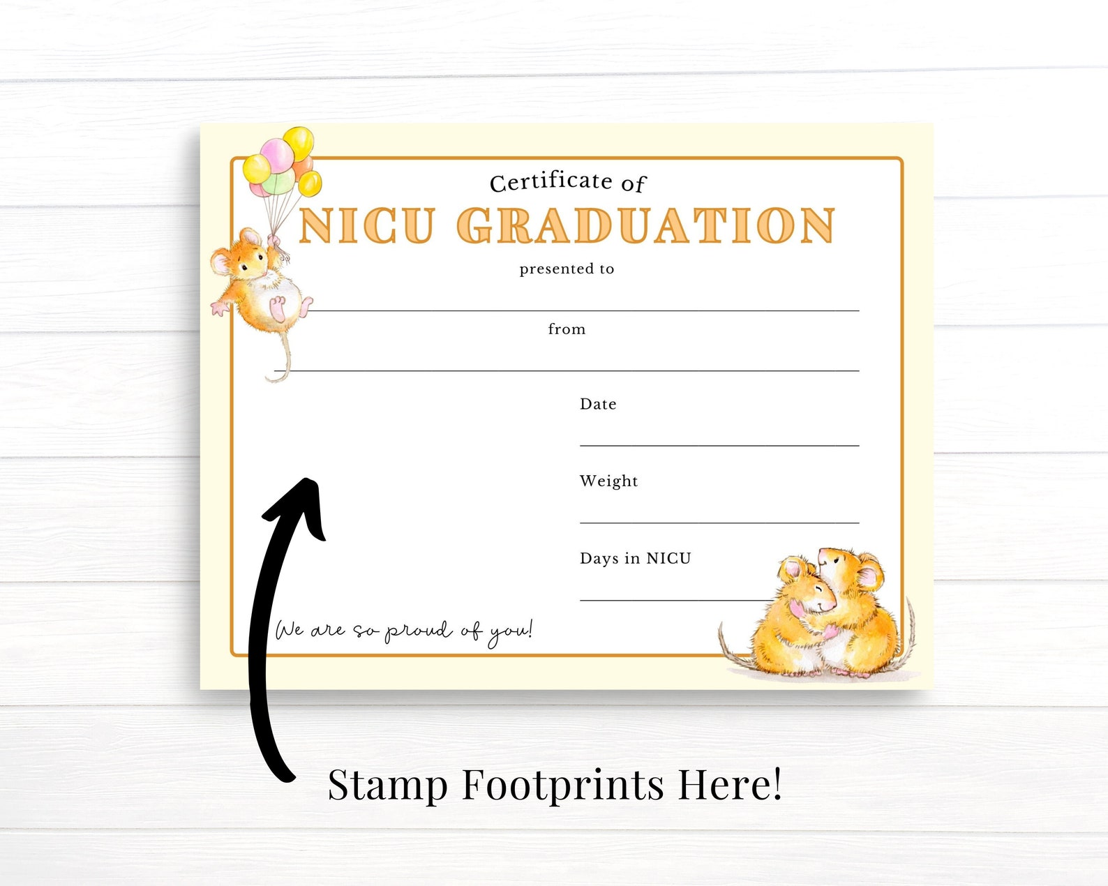 NICU Baby Graduation Certificate, Printable Keepsake Sign, Gift for ...