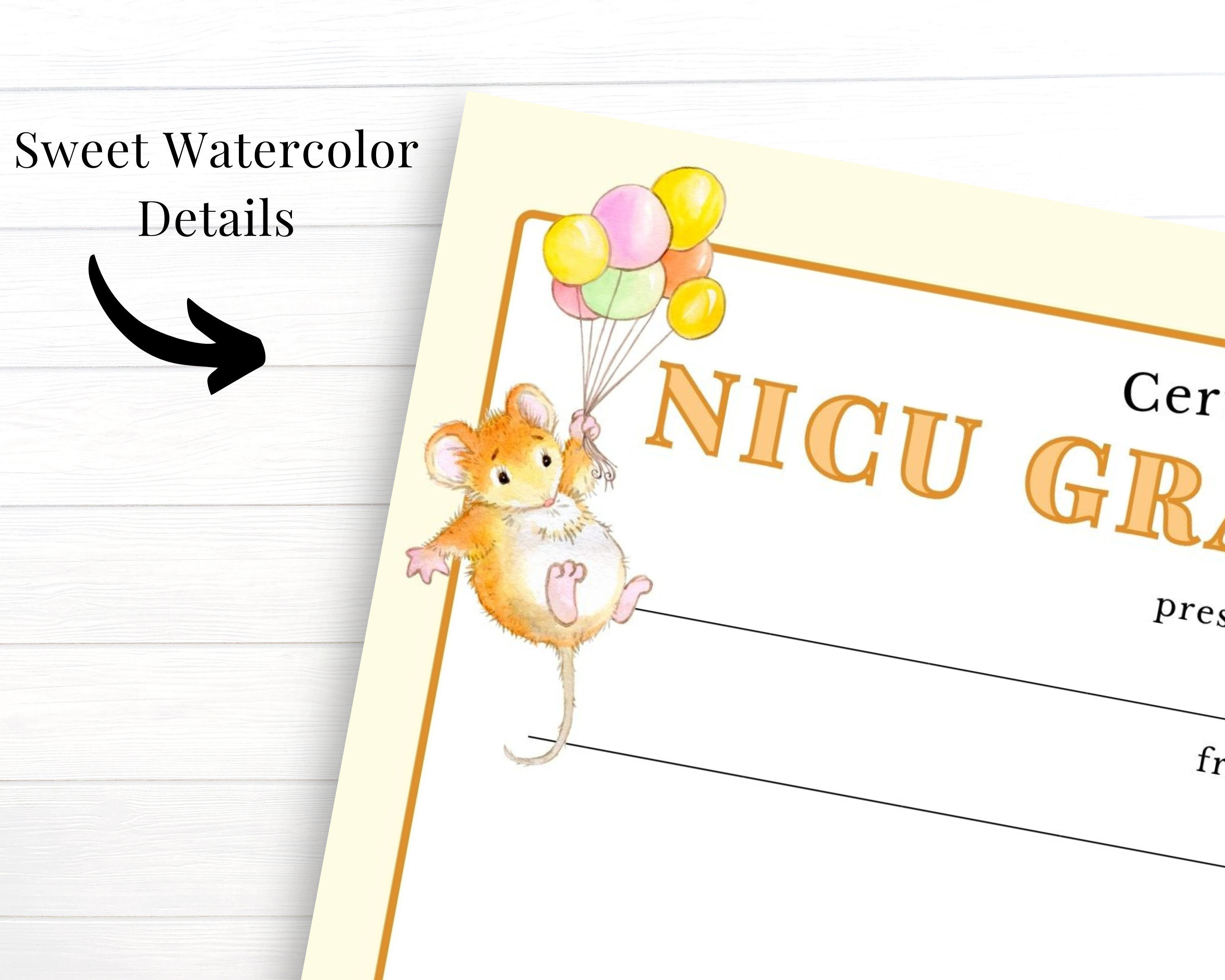 NICU Baby Graduation Certificate, Printable Keepsake Sign, Gift for ...