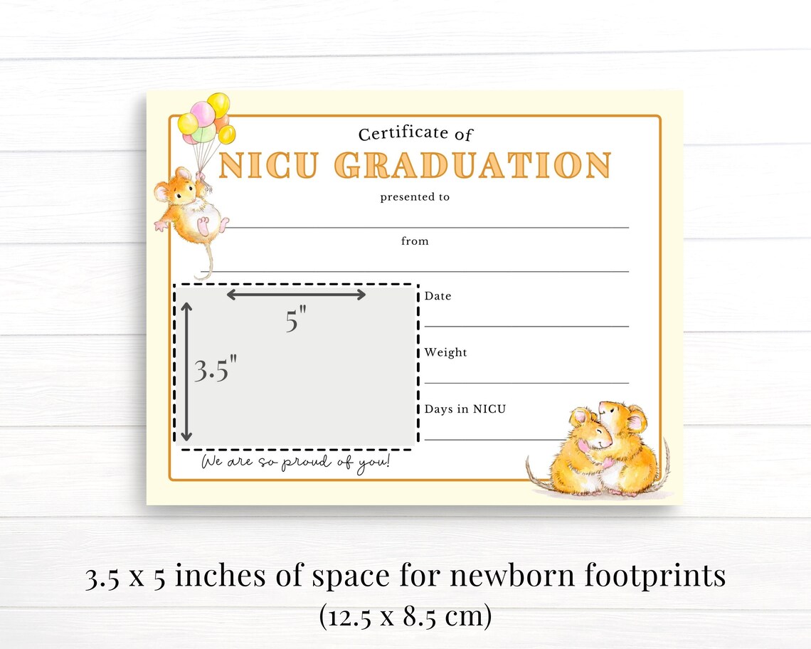 NICU Baby Graduation Certificate Printable Keepsake Sign - Etsy UK