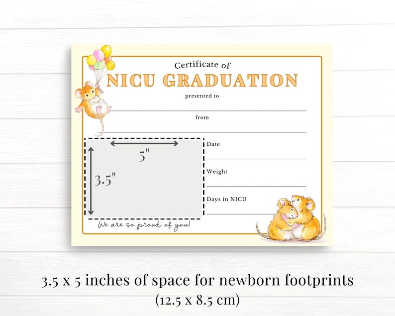 NICU Baby Graduation Certificate, Printable Keepsake Sign, Gift for ...