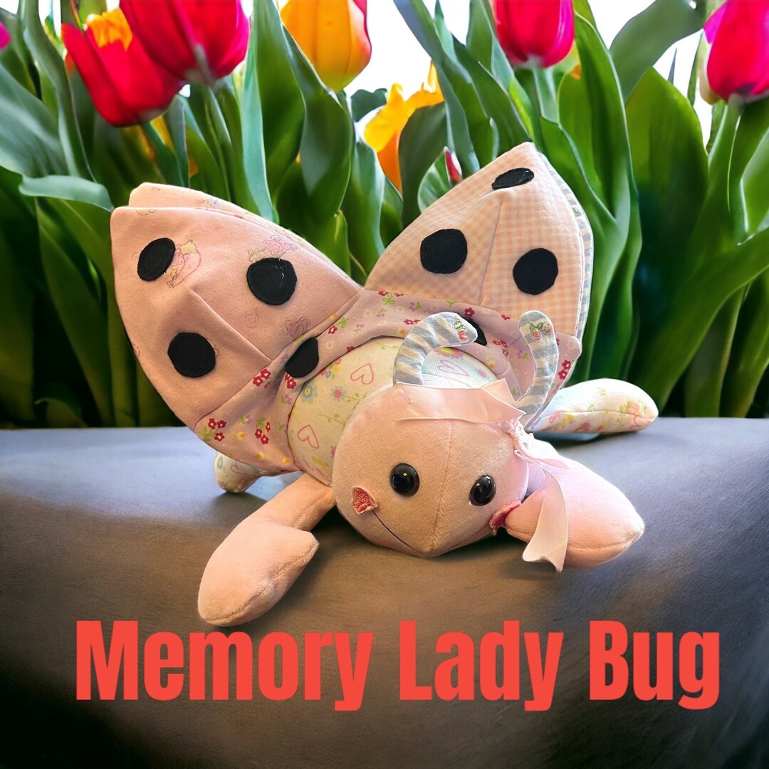 Memory Ladybug, Celebration of Life, Rest in Peace, Condolence Gift, in ...