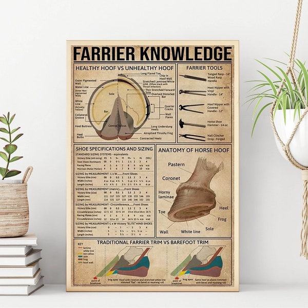 Horse Anatomy - Etsy