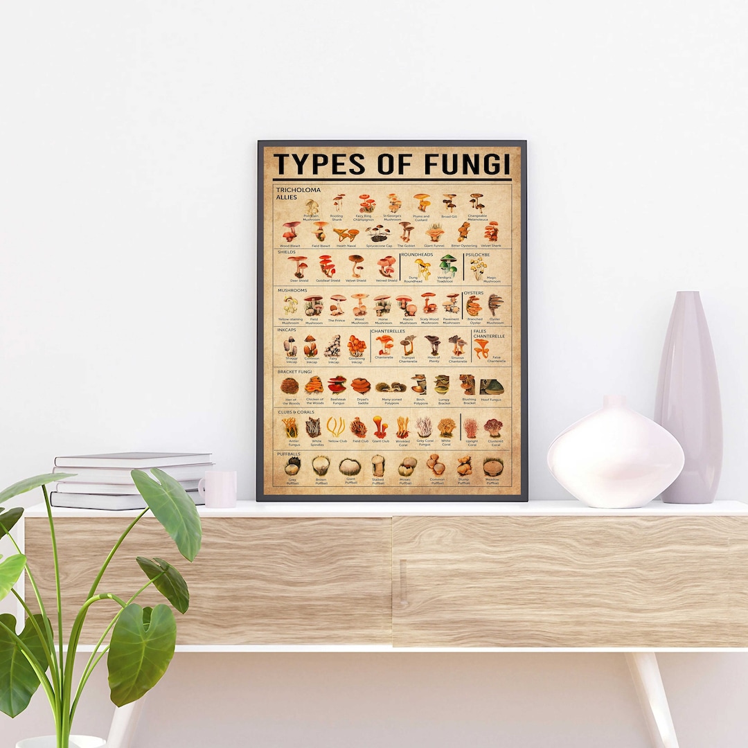 Types of Fungi Knowledge Poster, Fungi Poster, Mushroom Decor, Fungi ...