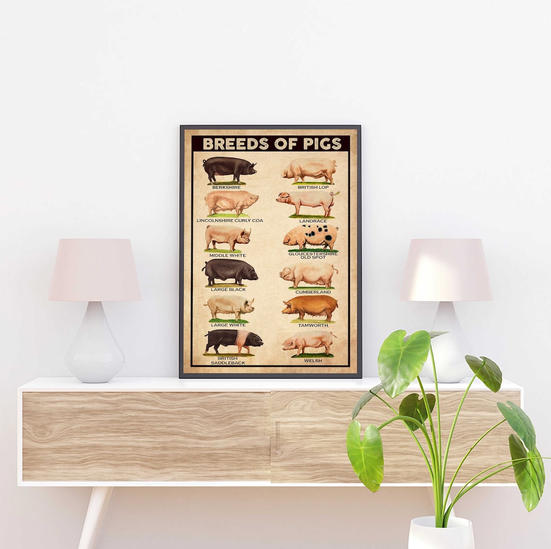 Breeds of Pigs Knowledge Art Print, Pig Knowledge Vintage Poster ...