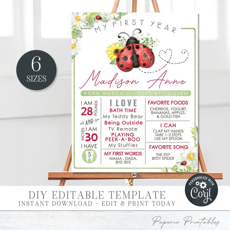 Milestone Ladybug Template - Etsy