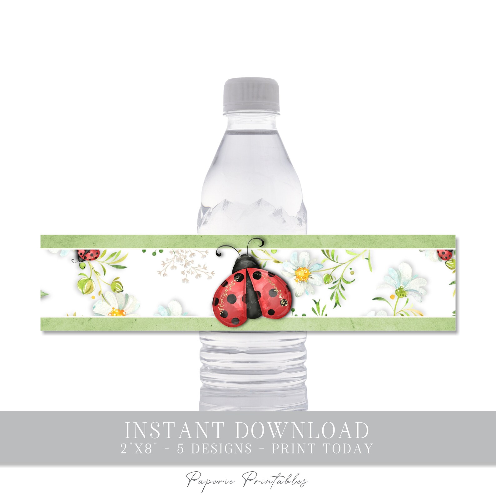 EDITABLE Ladybug Water Bottle Labels Ladybug Birthday - Etsy