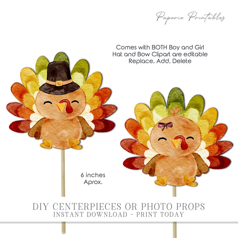 EDITABLE Turkey Birthday Party Decorations Turkey Birthday | Etsy