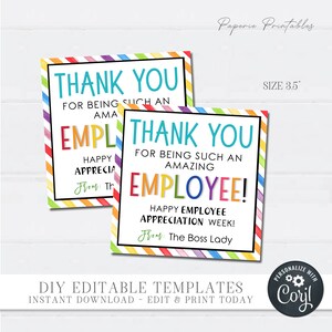 Editable Employee Appreciation Gift Tag: DIY Thank You (digital ...
