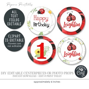 EDITABLE Ladybug Party Decorations, Ladybug Birthday Centerpieces or ...