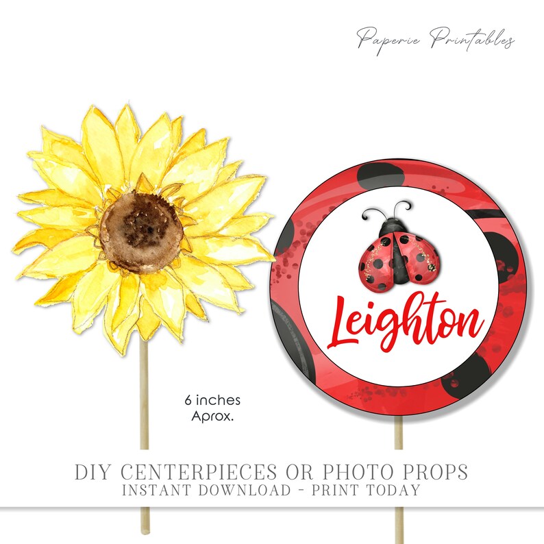 EDITABLE Ladybug Party Decorations Ladybug Birthday - Etsy
