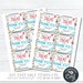 EDITABLE Nurse Appreciation Gift Tags, Nurse Appreciation Tag, Nurse ...