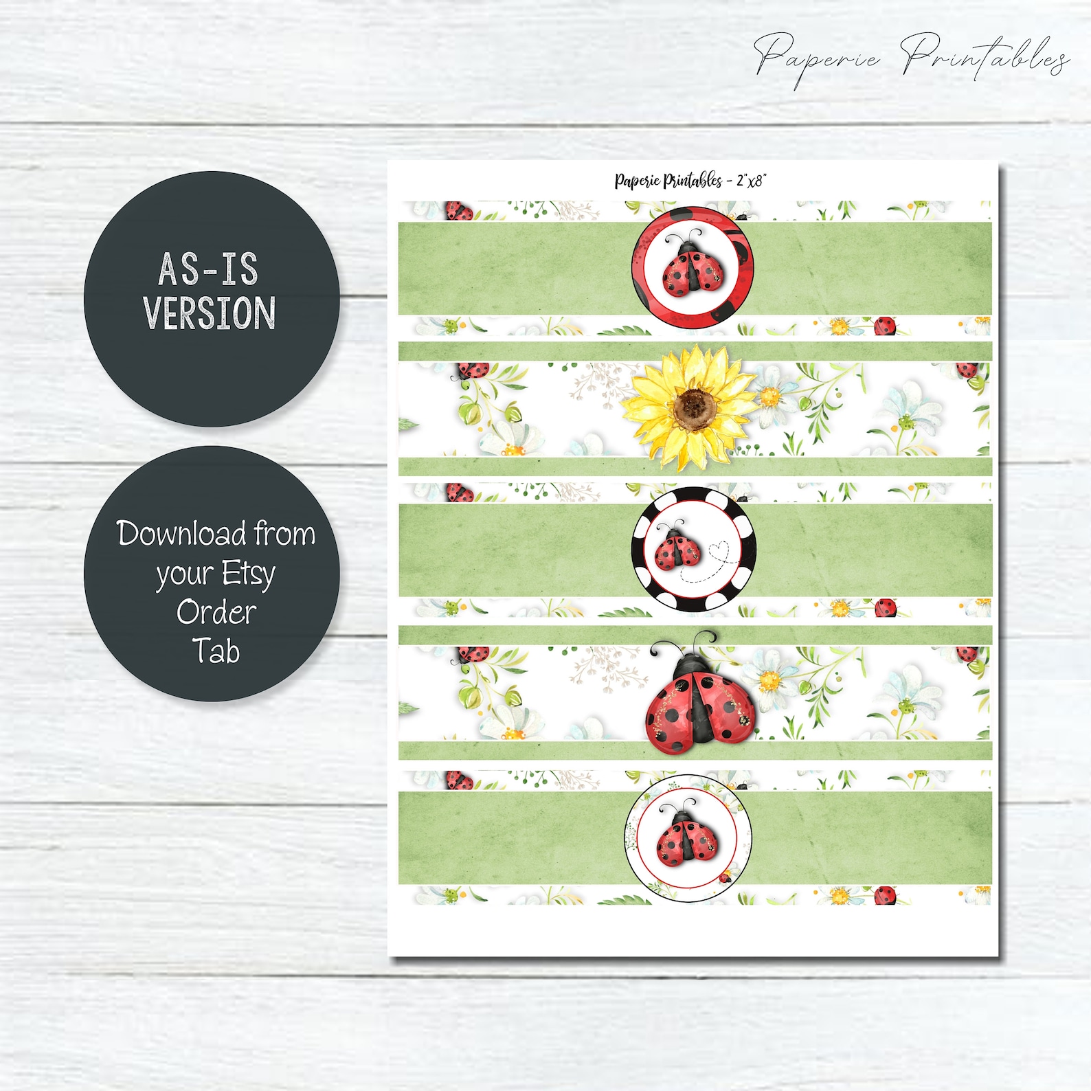 EDITABLE Ladybug Water Bottle Labels Ladybug Birthday - Etsy