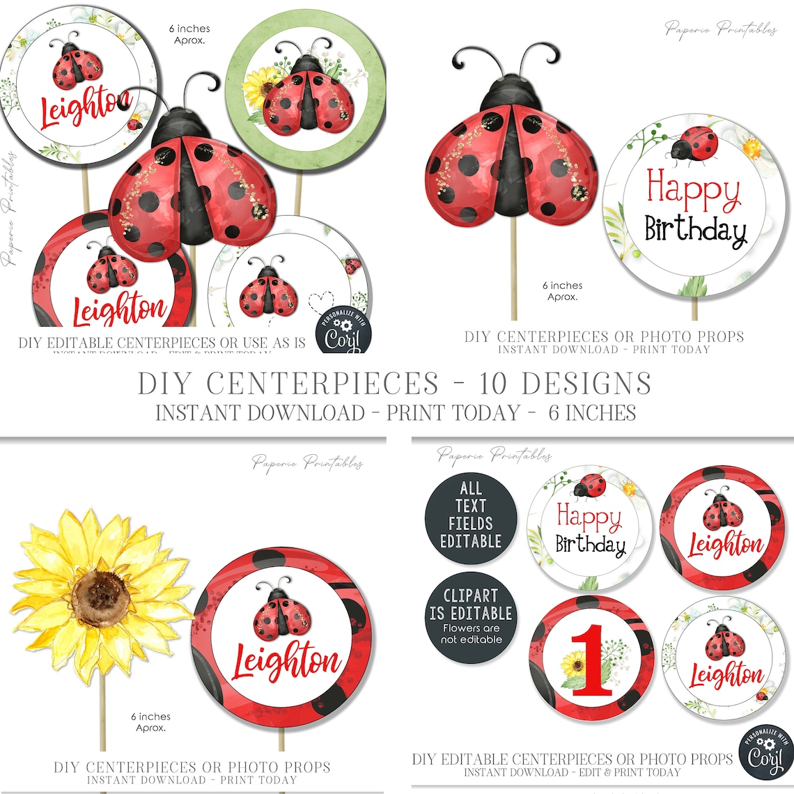 EDITABLE Ladybug Birthday Decorations Ladybug Birthday - Etsy