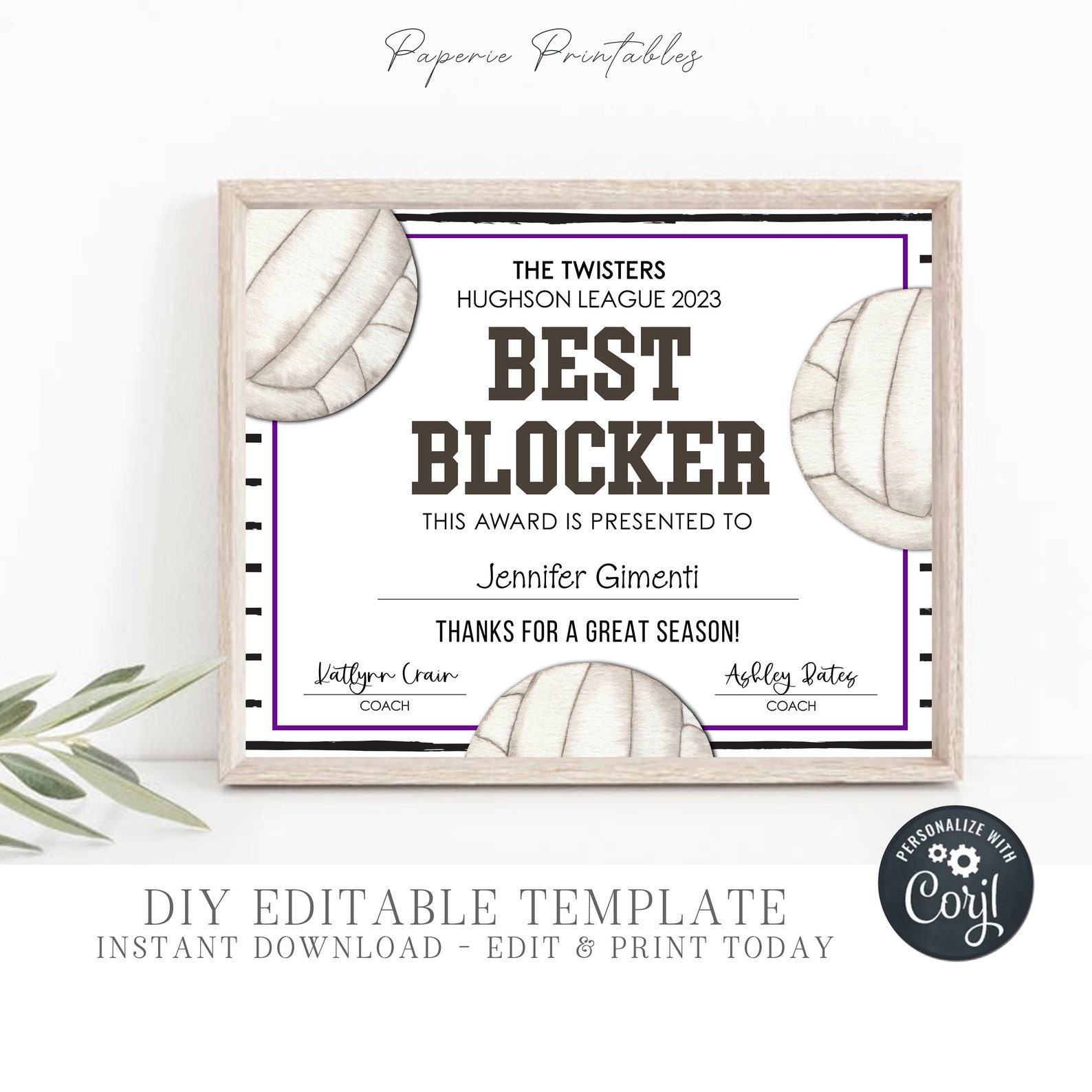 Editable Volleyball Award Certificates: Team Party Printables (DIY W ...