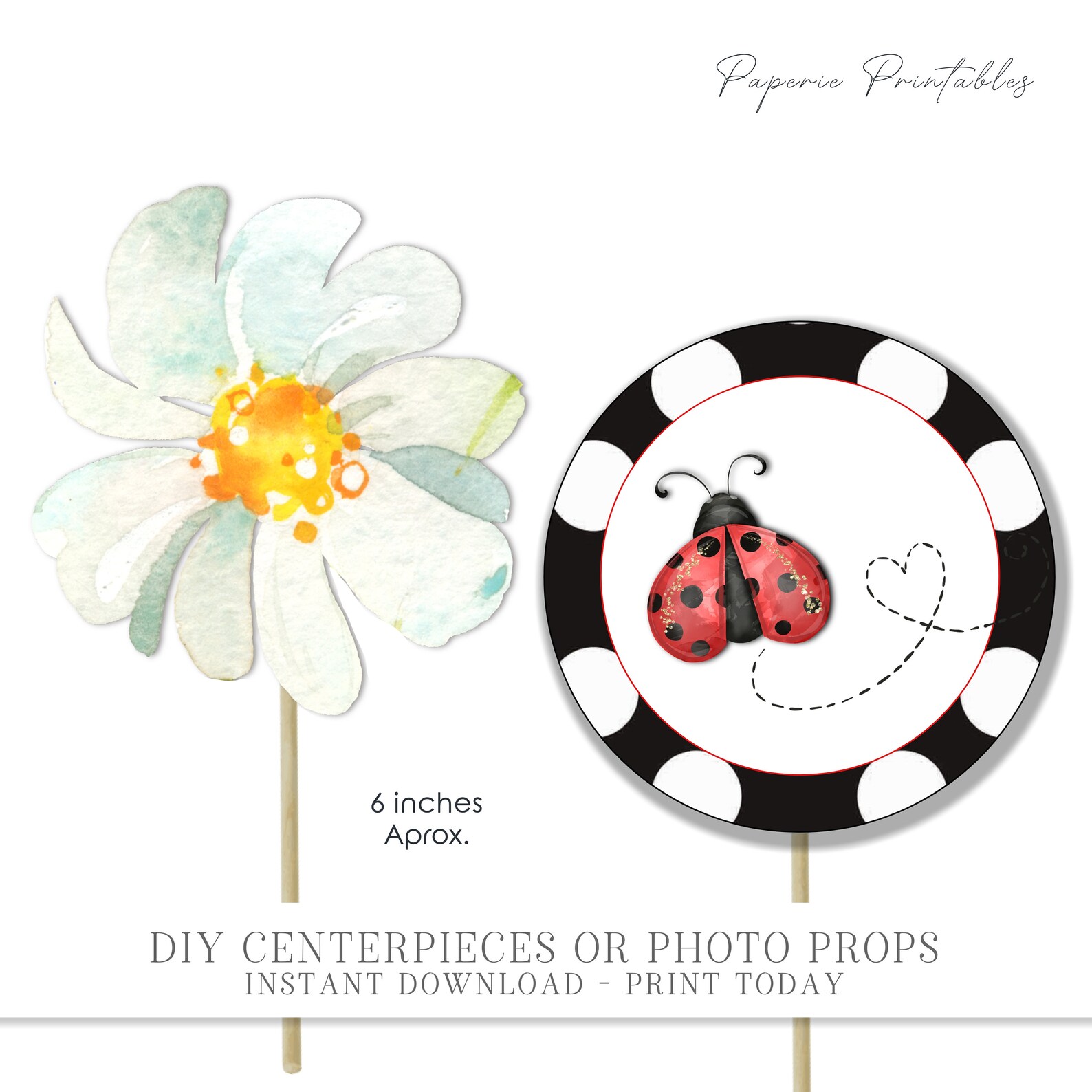 EDITABLE Ladybug Party Decorations Ladybug Birthday - Etsy