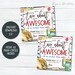 EDITABLE Taco Bout Nurse Tags, Nurse Appreciation Tags, Taco Nurse ...