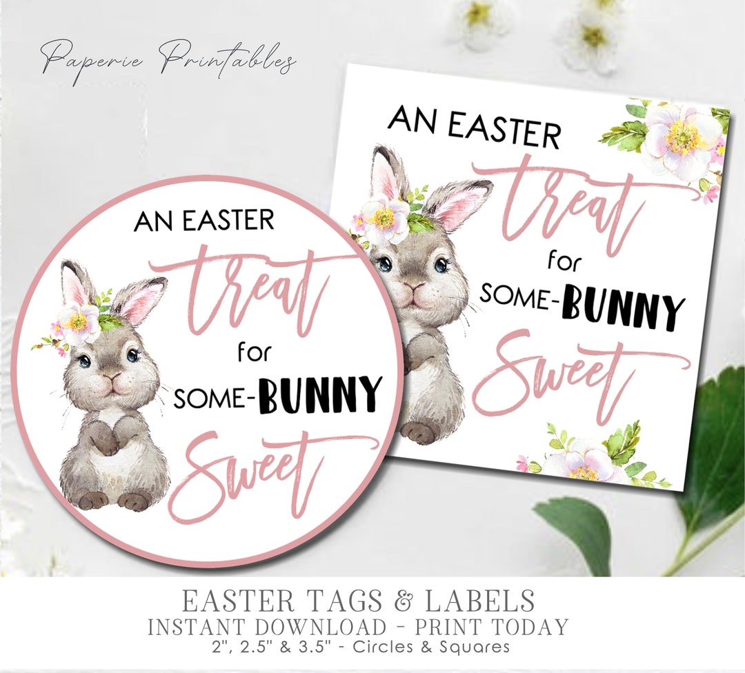 Bunny Easter Treat Tags: Printable DIY Labels (instant Download) #ET02 ...