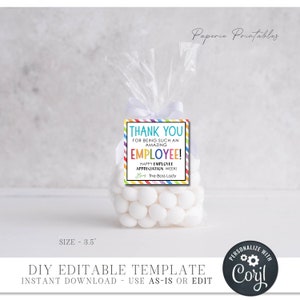 Editable Employee Appreciation Gift Tag: DIY Thank You (digital ...