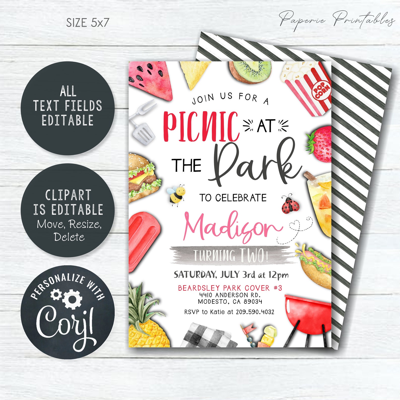 EDITABLE Picnic Birthday Invitation Birthday Picnic Party - Etsy