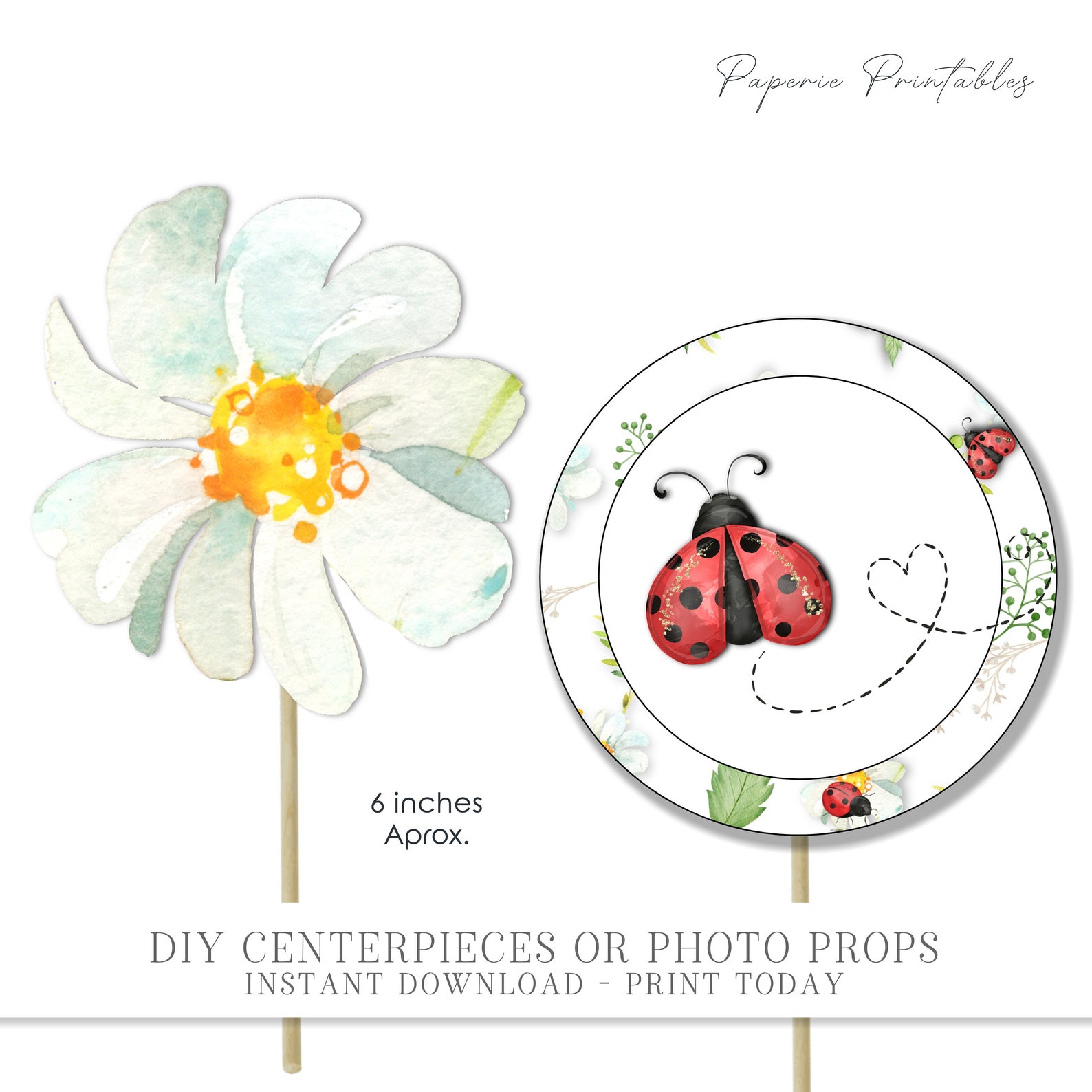 EDITABLE Ladybug Party Decorations Ladybug Birthday - Etsy