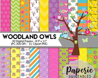 Digital Owl Clipart | Etsy