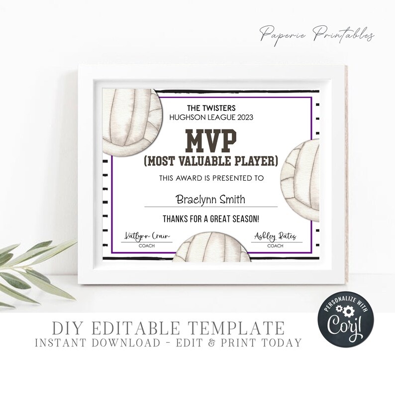 Editable Volleyball Award Certificates: Team Party Printables (DIY W ...