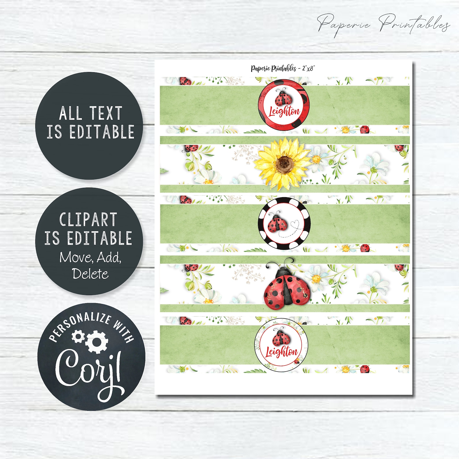 EDITABLE Ladybug Water Bottle Labels Ladybug Birthday - Etsy