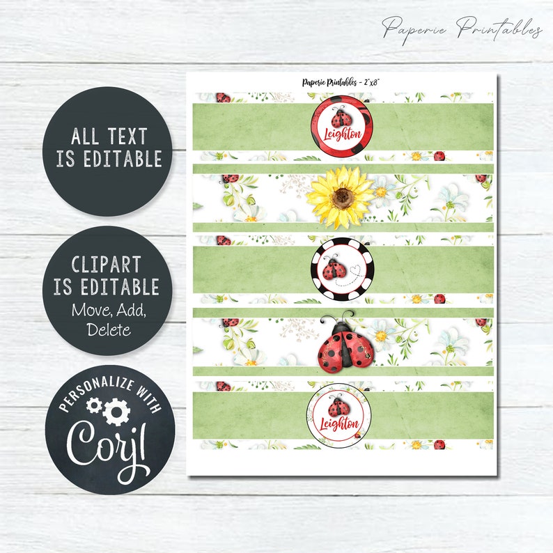 EDITABLE Ladybug Water Bottle Labels Ladybug Birthday - Etsy