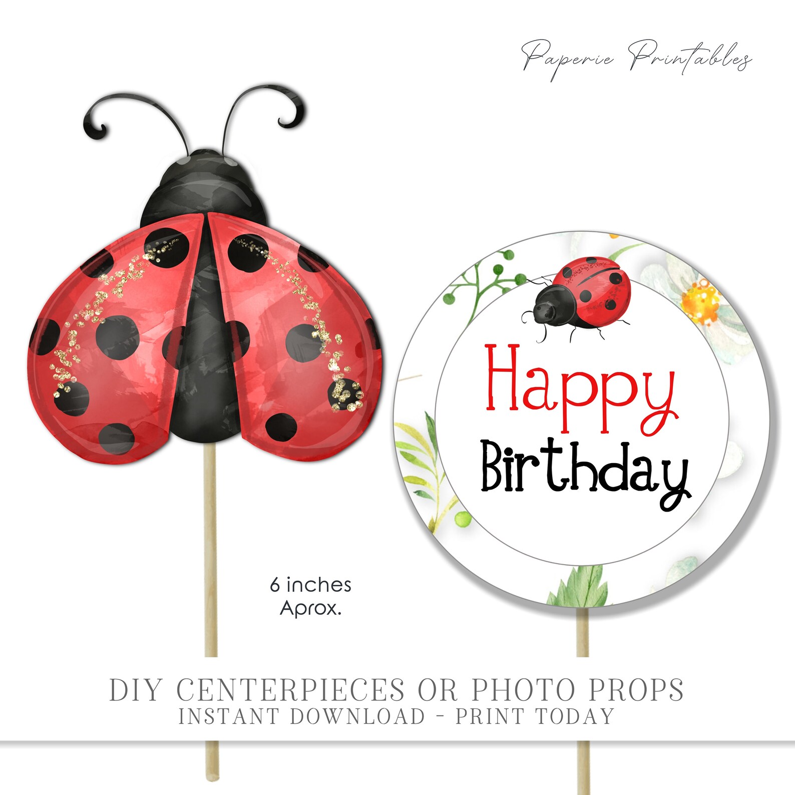 EDITABLE Ladybug Party Decorations Ladybug Birthday - Etsy