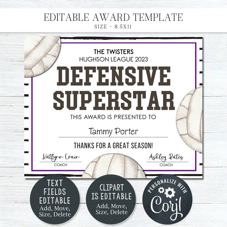 Editable Volleyball Award Certificates: Team Party Printables (DIY W ...