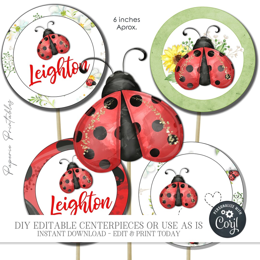 EDITABLE Ladybug Party Decorations, Ladybug Birthday Centerpieces or ...